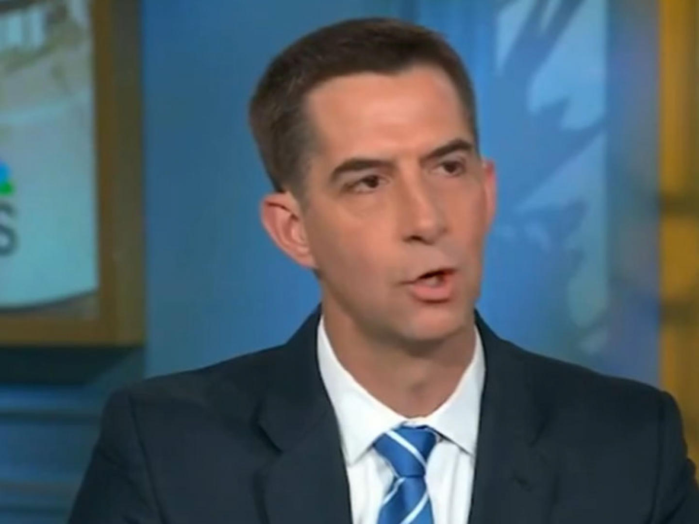 Tom Cotton May Be Barrier To a TikTok Resolution | RealClearMarkets