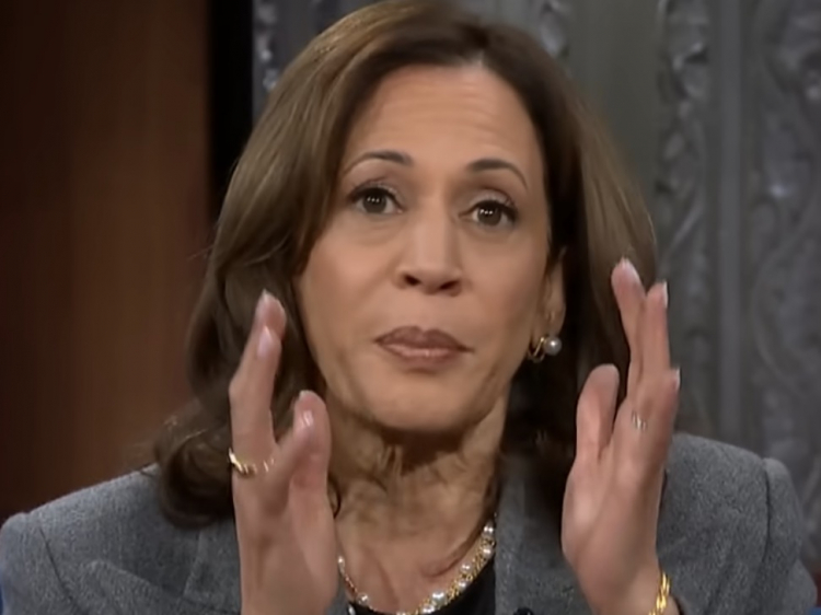 VP Harris Accuses Trump Of Playing "Political Games" With Hurricane ...