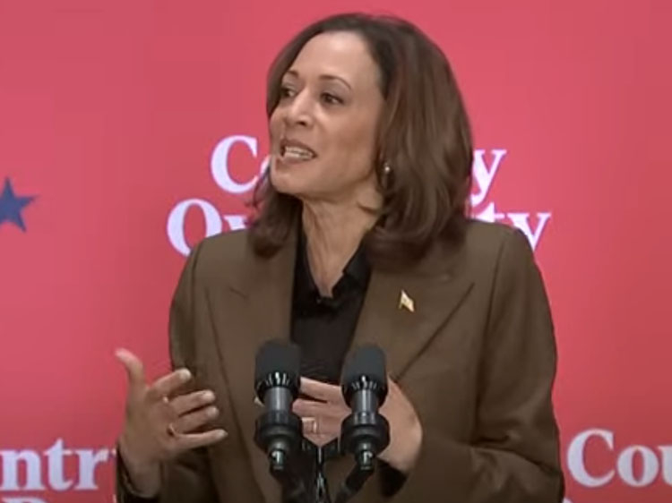 Kamala Harris Proposes Presidential "Bipartisan Council Of Advisors" To ...