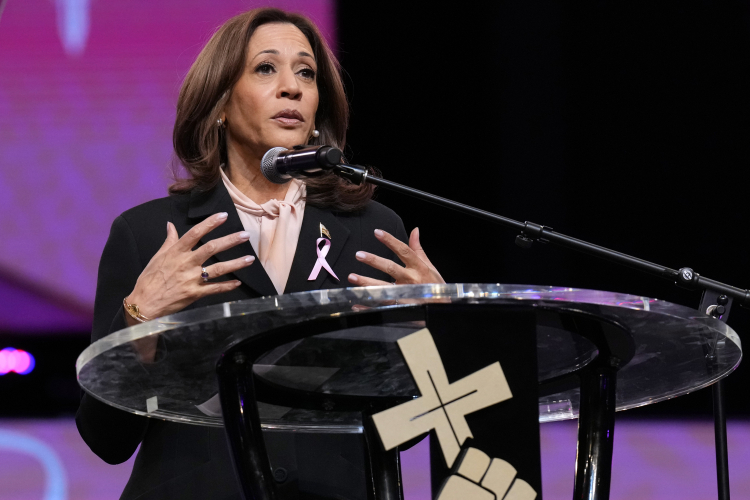 Kamala Harris And Liz Cheney Campaign In Pennsylvania, Michigan | Video ...