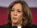 CNN's Scott Jennings: If Kamala Harris Were An Animal, She'd Be A Duck ...
