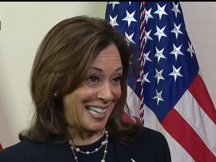 Kamala Harris: "My Internal Polling Is My Instinct" | Video ...