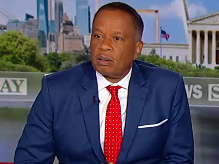 'FOX News Sunday' Panel: 58% of Voters Oppose Musk, 65% Support ...