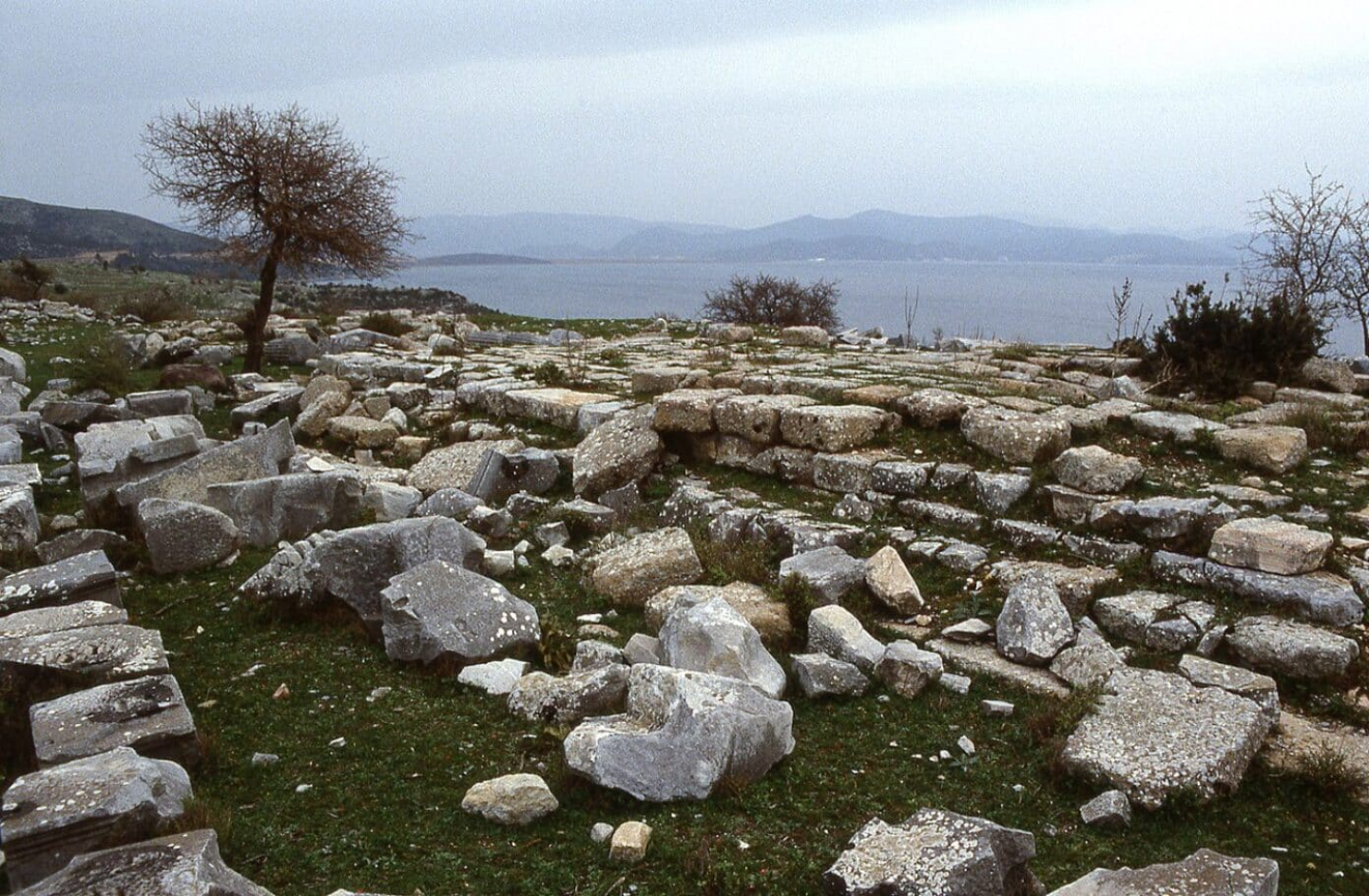 Gold Treasure Hoard Found in Ancient Greek City | RealClearHistory