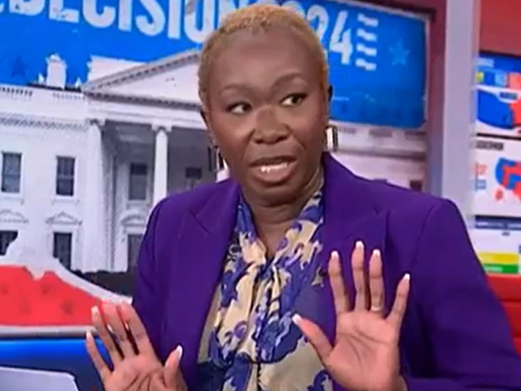 MSNBC's Joy Reid: This Was A "Historic, Flawlessly Run Campaign ...