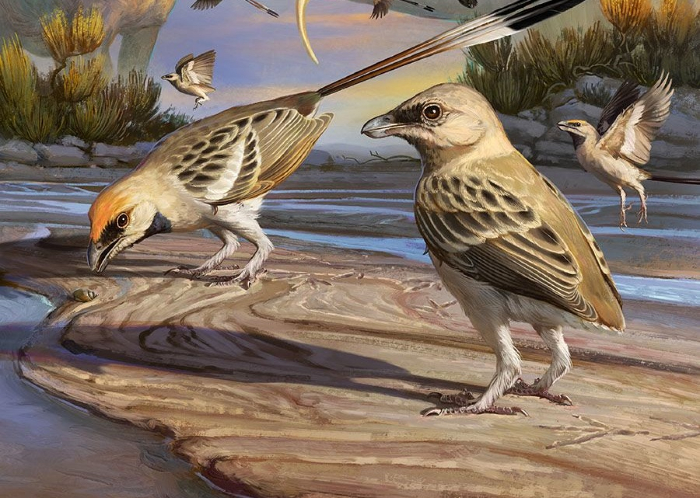 Fossil Brain From Dinosaur Era Reveals Roots of Bird Intelligence ...