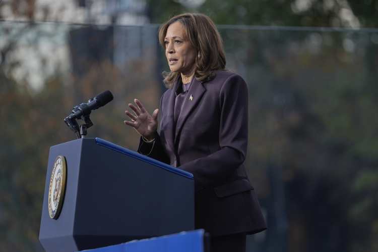 The Left’s Comforting Myth About Why Harris Lost | RealClearPolitics