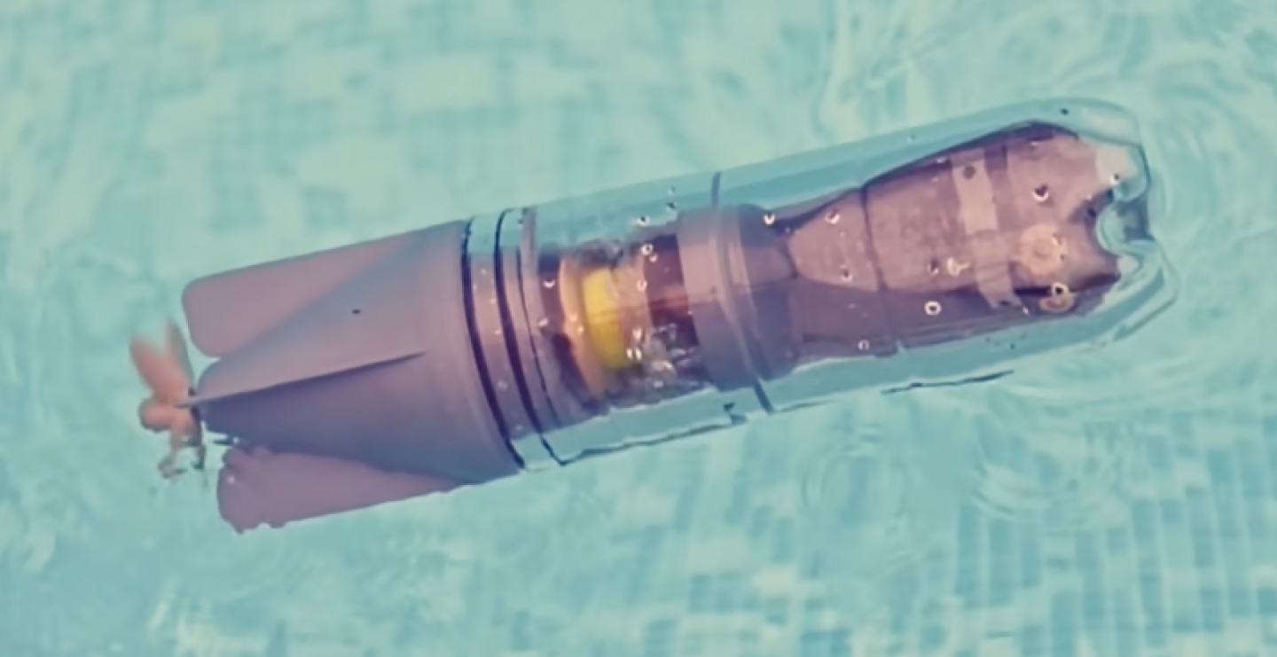 The 'Impossible Torpedo' Was Real | RealClearScience