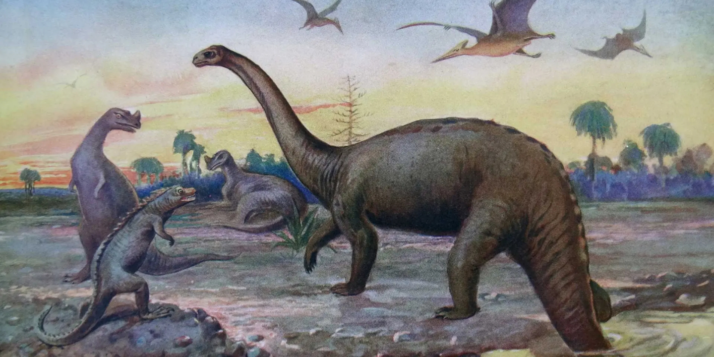 Baby Dinosaurs Were Common Prey for Late Jurassic Predators ...