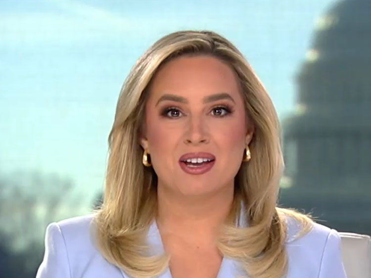 'FOX News Sunday' Panel: Trump Sentencing Before Inauguration ...