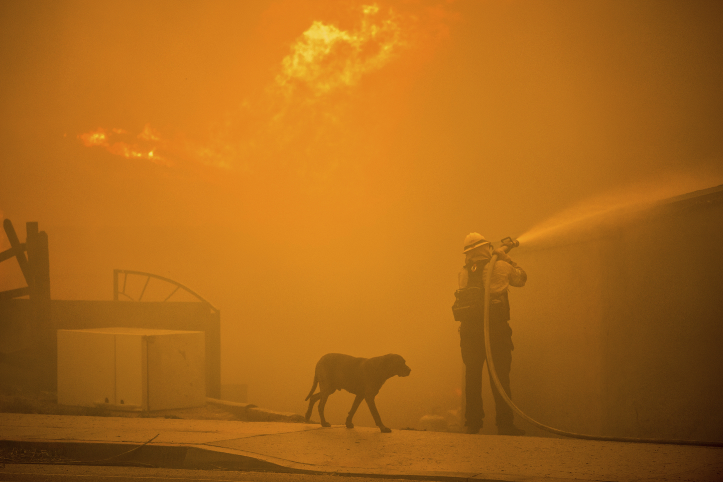 The Great Fire of 1910 Changed How the US Fought Wildfires ...