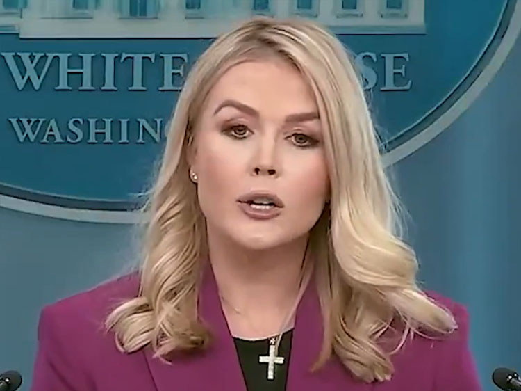 WH Press Secretary: We Welcome New Media And Journalists Banned By ...