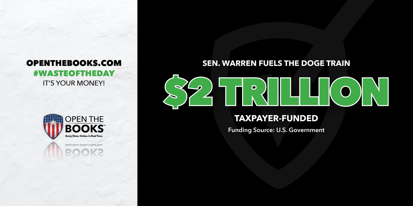 Waste of the Day: Warren to Musk: “DOGE Can Meet Its Goal ...