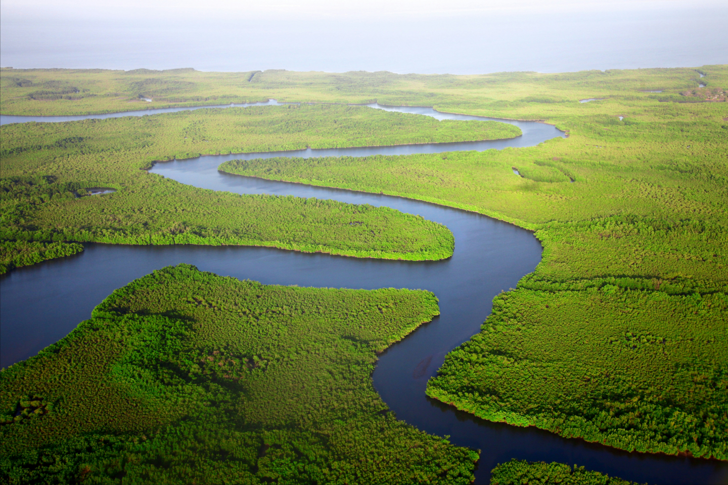 Did the Rise of Plants on Earth Reshape Rivers? | RealClearScience