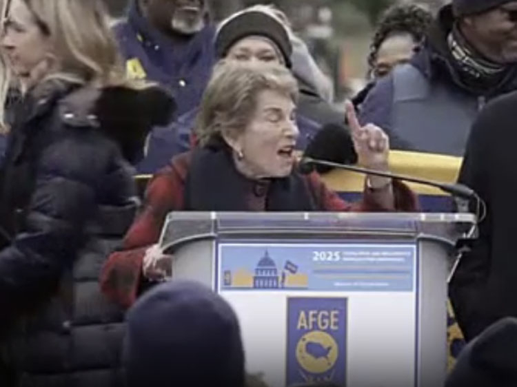 Rep. Jan Schakowsky: We're Going To Beat Trump, Pull Him Down | Video ...