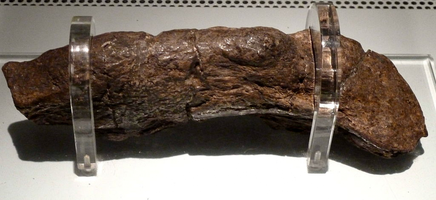 The World's Largest Poop Is a 1,200-Year-Old Treasure | RealClearScience