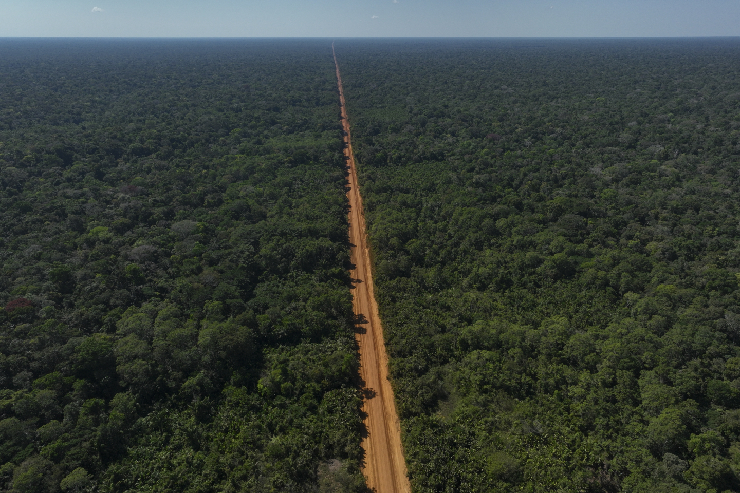 Discovery Shows Ancient Humans Thrived in Rainforests | RealClearHistory