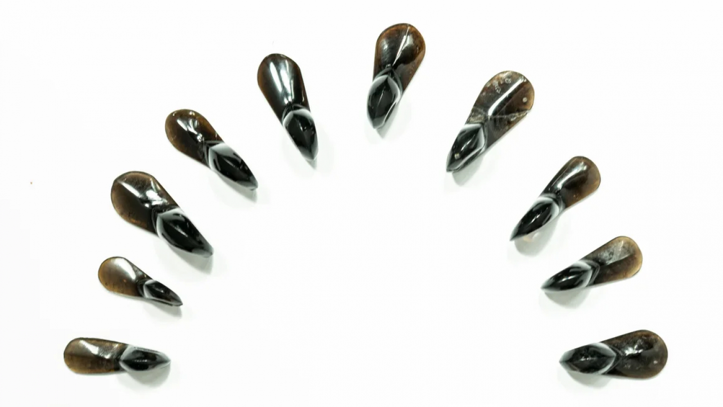 Artifacts Reveal Where the Aztecs Got Their Obsidian | RealClearScience