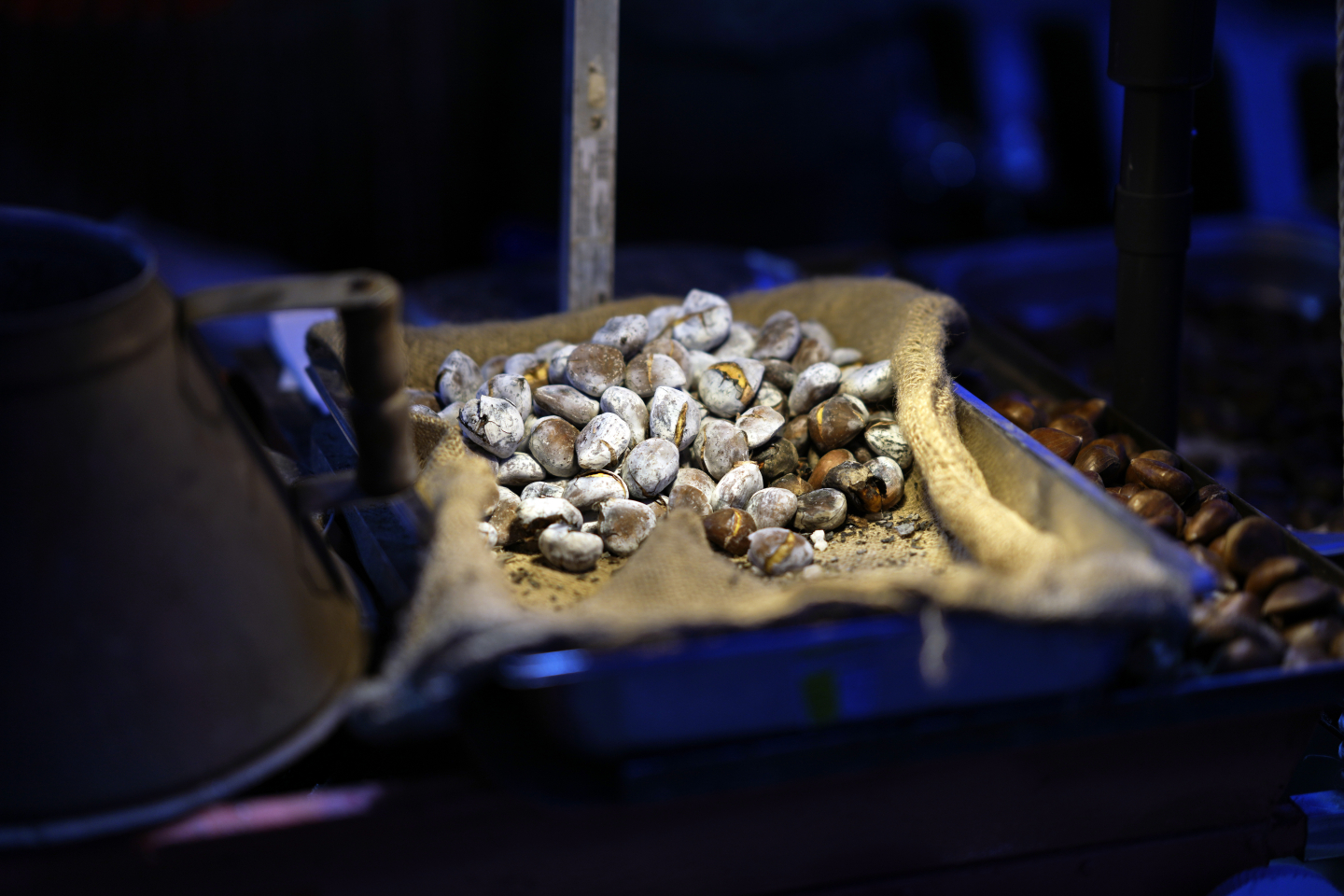 How the Chestnut Traced Rise and Fall of the Roman Empire ...