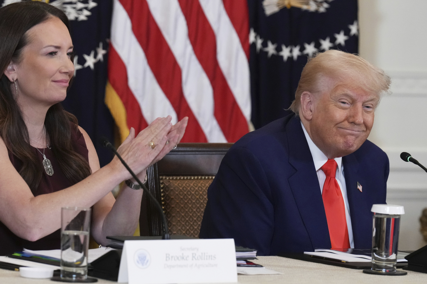 The Big, Somewhat Beautiful, Bill | RealClearEnergy