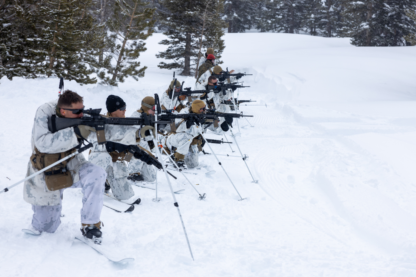Mountain Warfare: ‘Fighting’ the Mountain to Fight in the Mountains ...