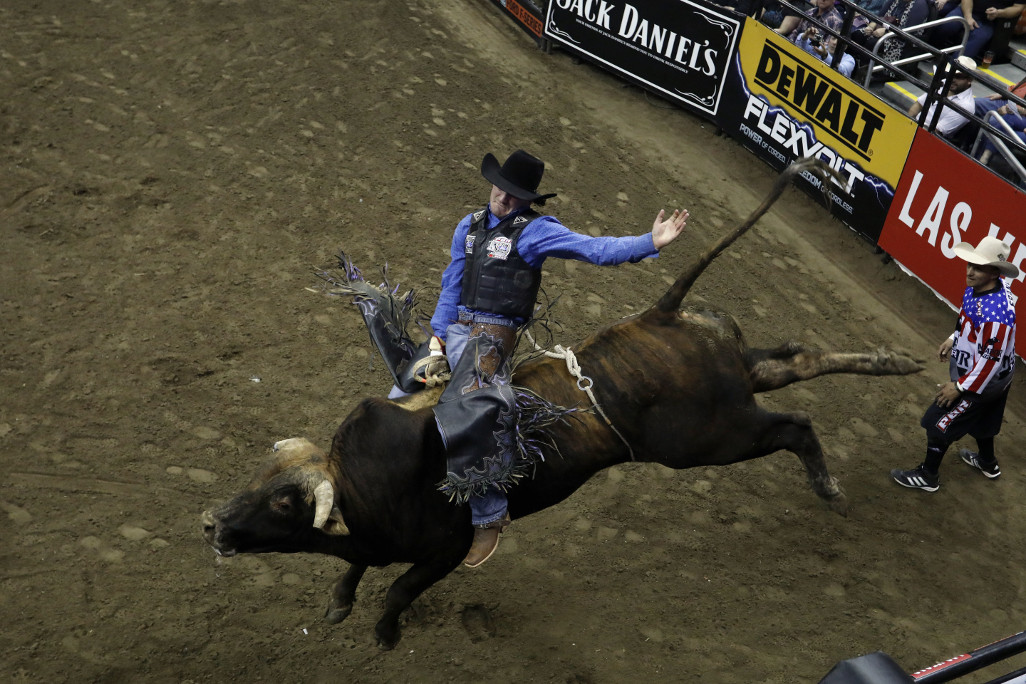 Cow Tools | RealClearBooks