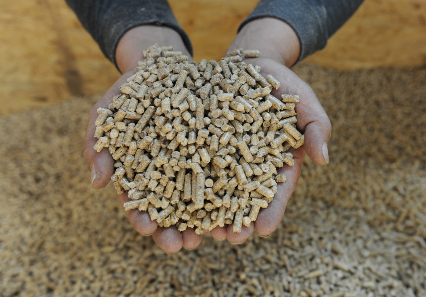 Wood Pellets: America’s Underrated Power Play | RealClearEnergy