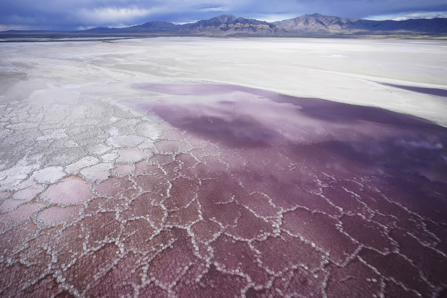 Why the Great Salt Lake Is Two Completely Different Colors ...