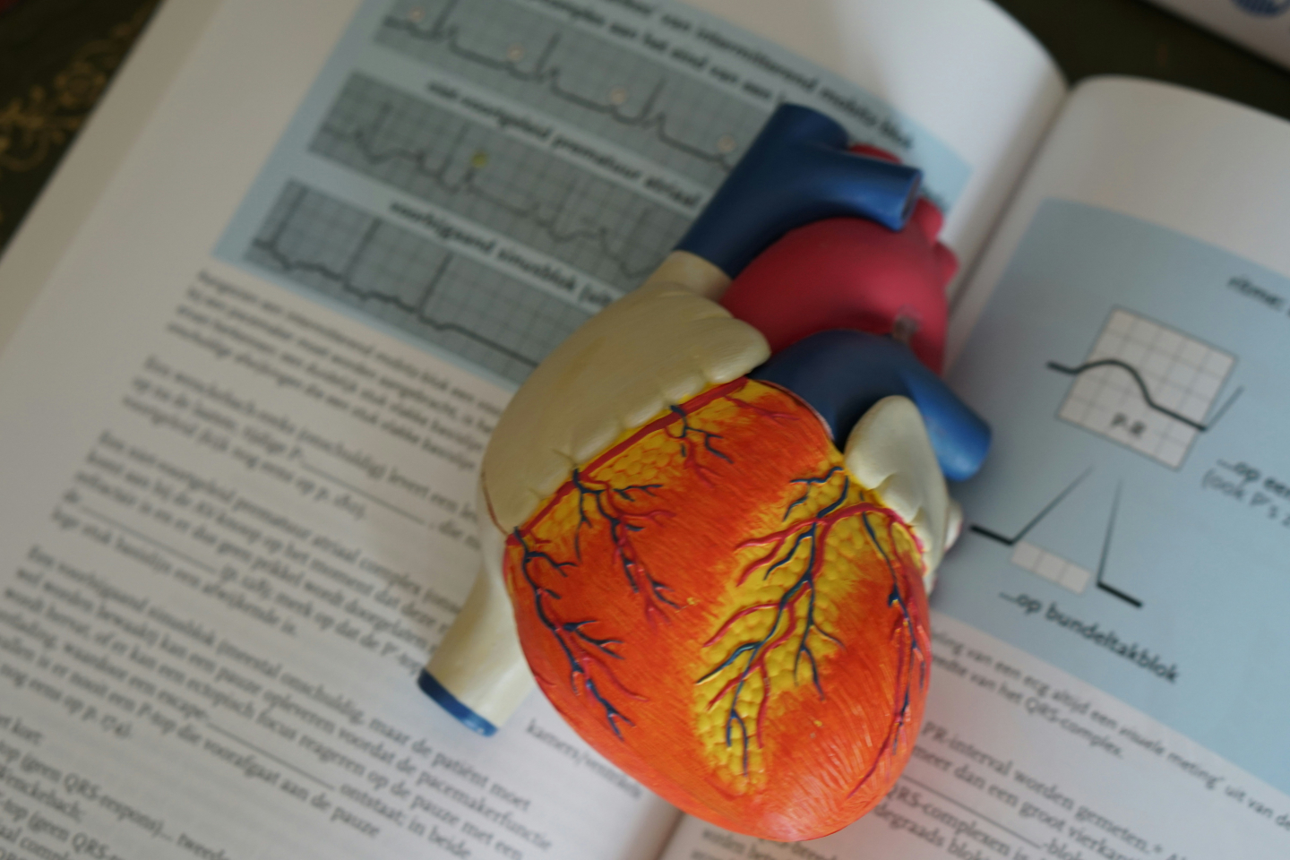 The Big Shift in Cardiology | RealClearScience