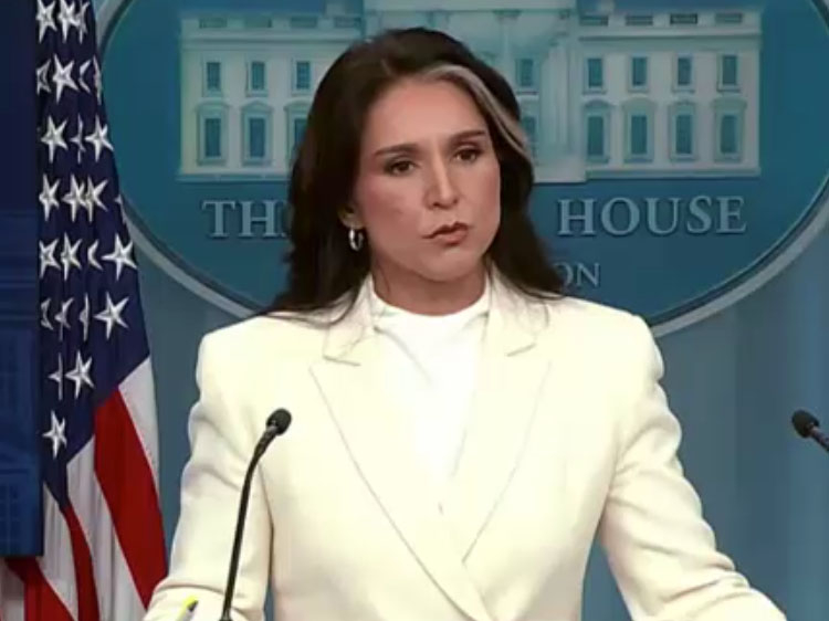 Wegmann To DNI Gabbard: How Do You Respond To Criticism That This Is ...