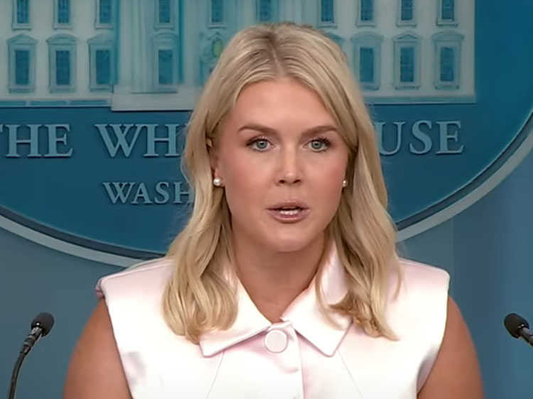 Leavitt: It's Well Past Time To Strip Pulitzer Prizes From NY Times ...