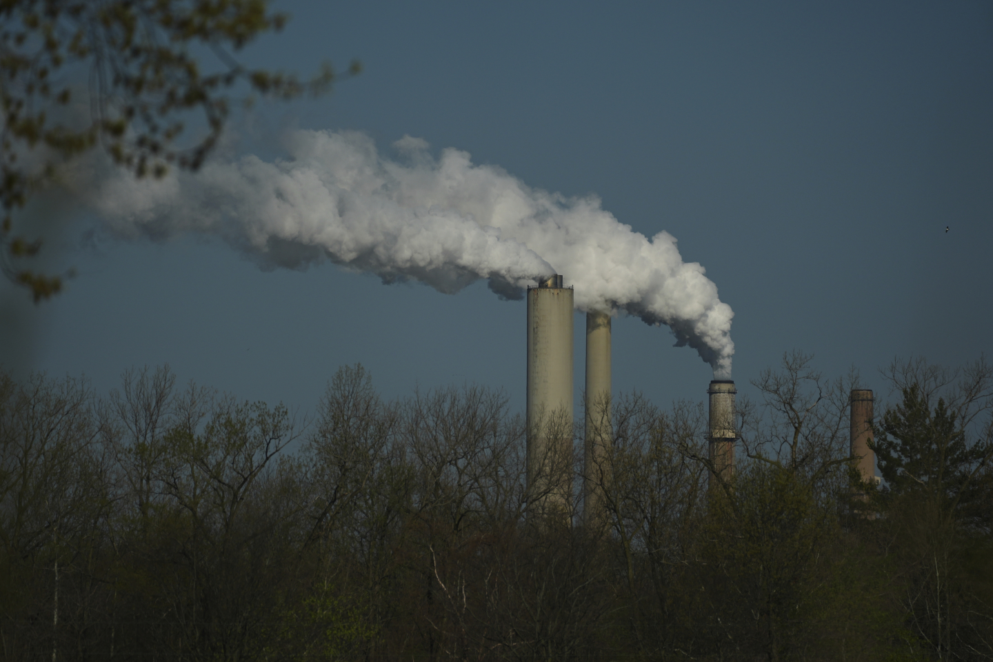 Ranked: World’s Largest Coal Producing Countries in 2024 | RealClearEnergy