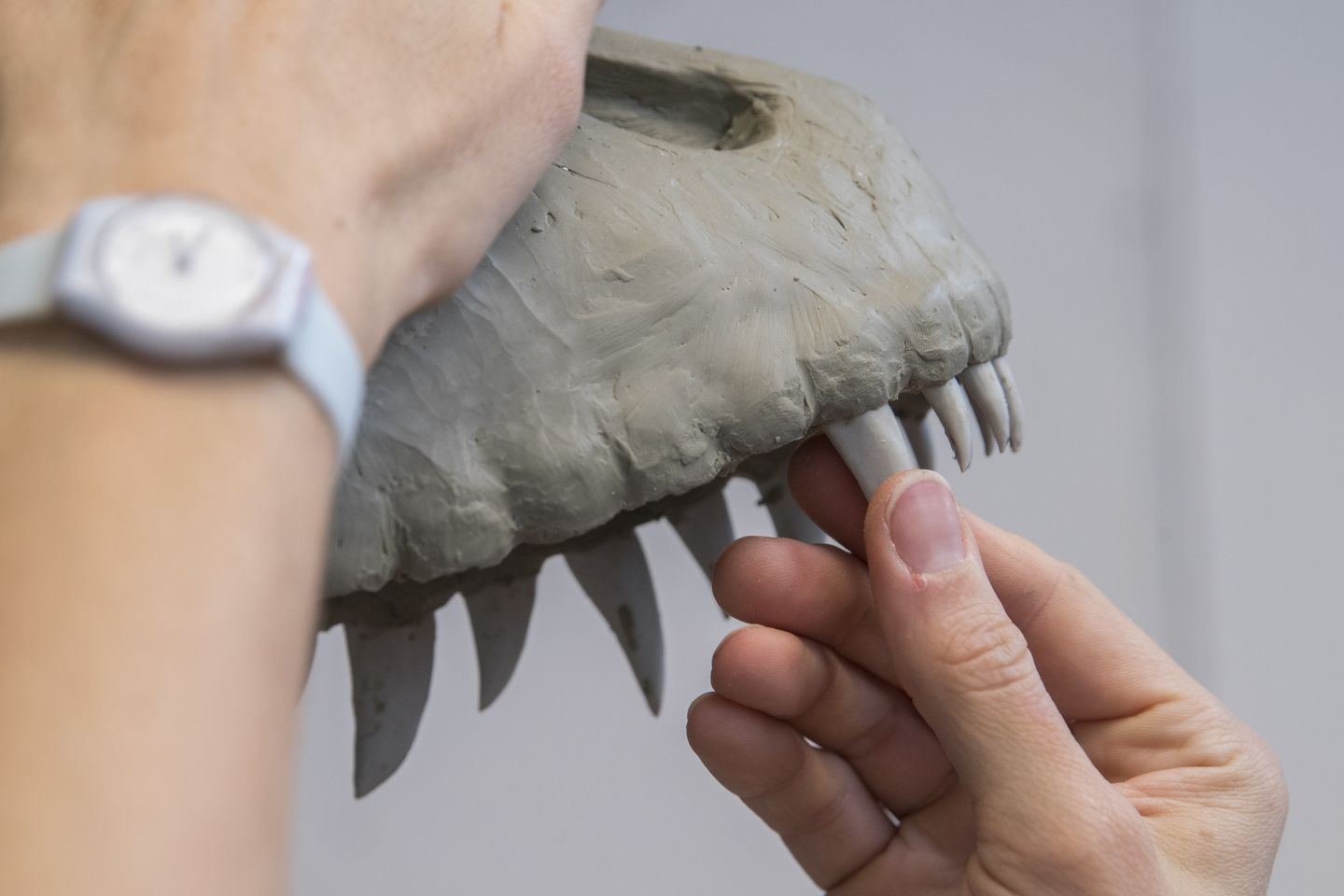 Giant, Meat-Eating Dinosaurs Didn't All Have Strong Bites ...