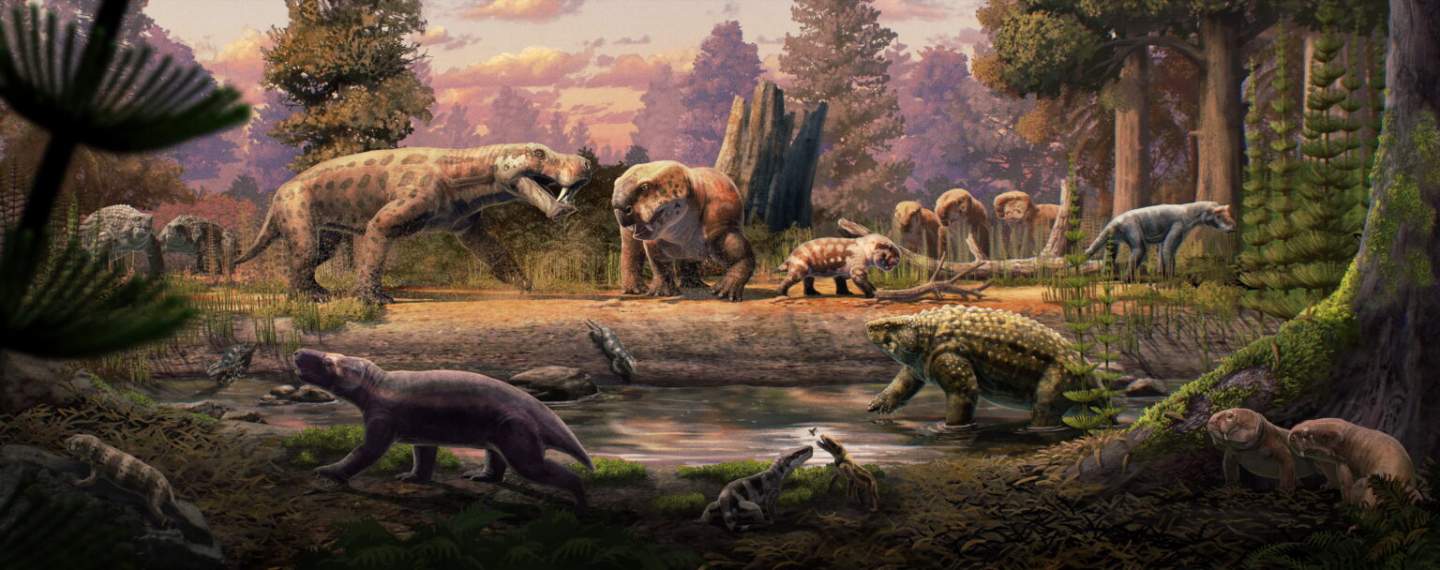 Fossils Shed Light on Era Before Earth's Largest Extinction ...