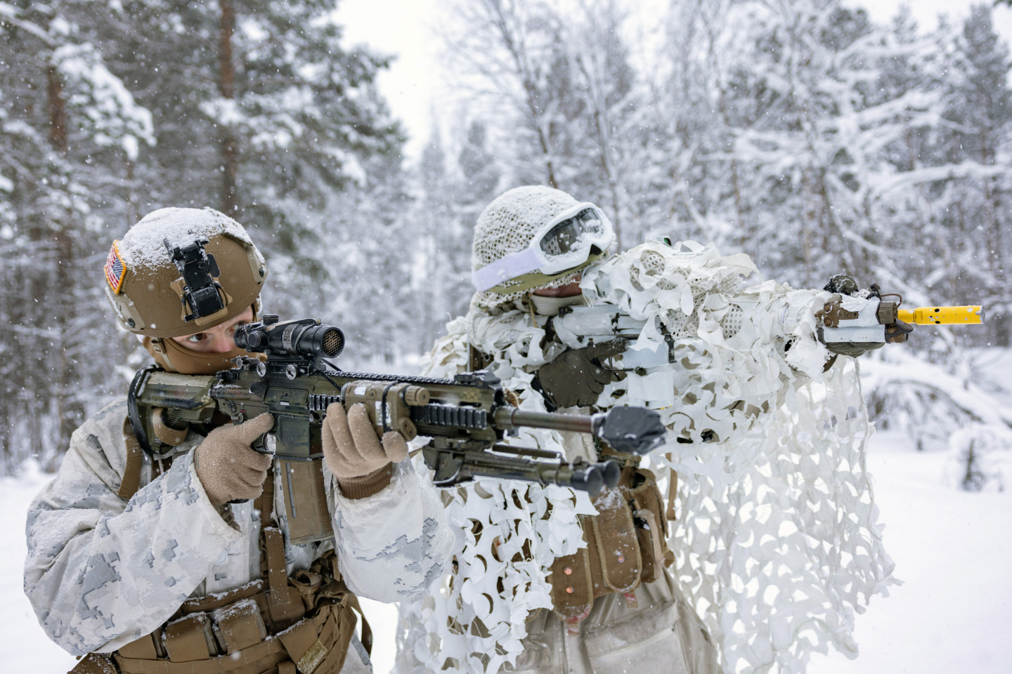 Very Cold War: Brutal Arctic Conditions Are Testing U.S. and Allied ...