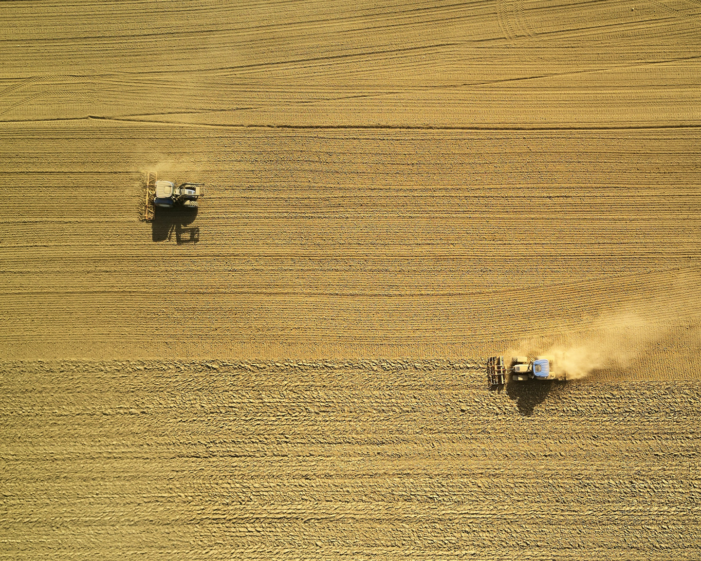 India's Record Crops Counter Food, Warming Alarmism | RealClearMarkets