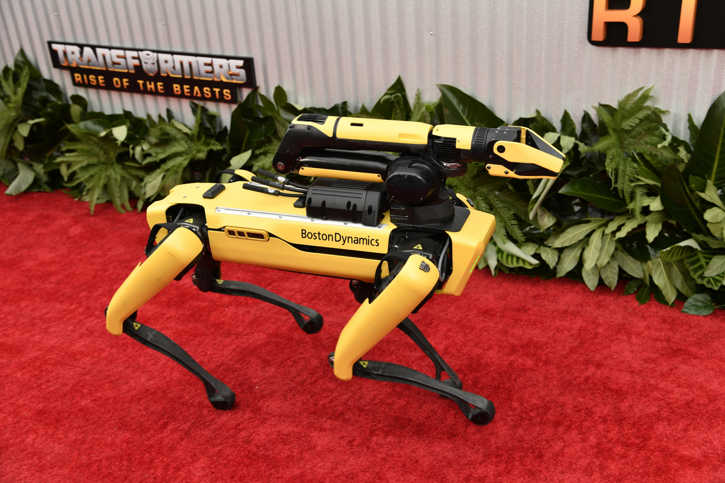 Watch: Training a Robot to Do a Triple Backflip | RealClearScience