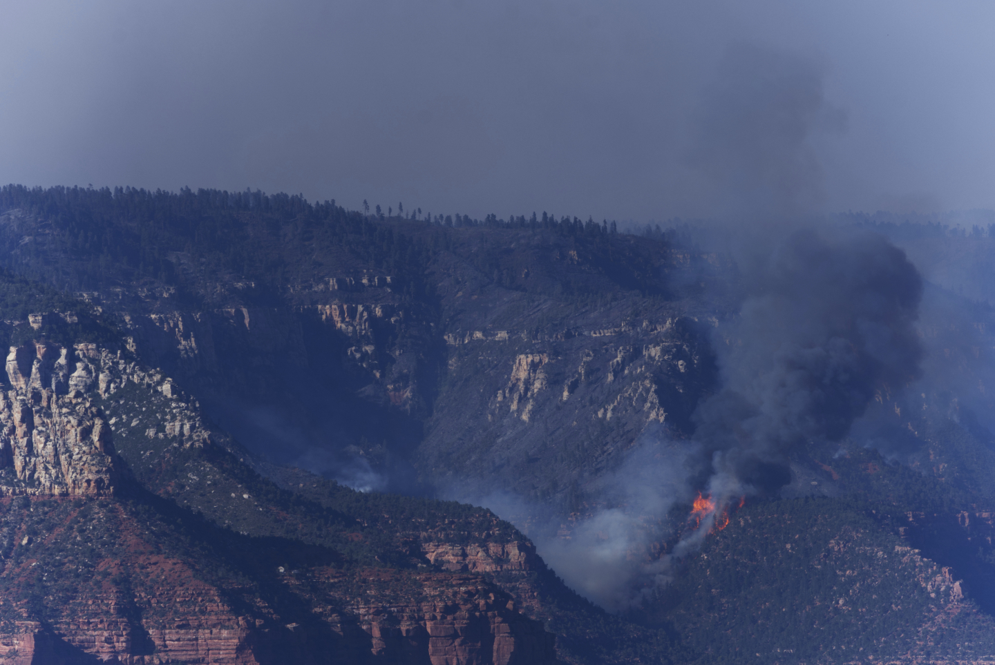 A Smarter Way to Fight Forest Fires | RealClearPolicy