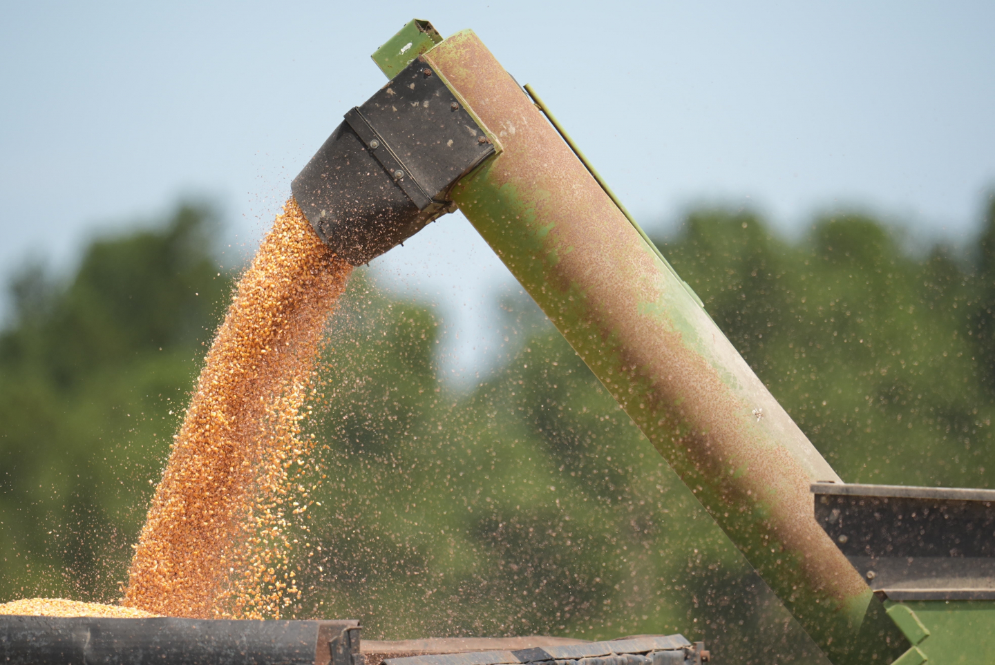 A Financial Crisis for Farmers | RealClearPolicy