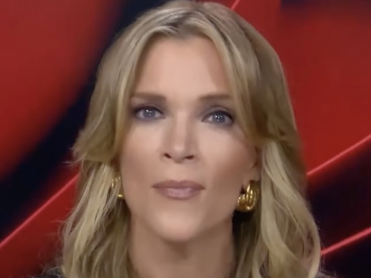 Megyn Kelly: ABC News Reporter Is A Moron For Rewriting Kirk Assassin's Relationship With A ...