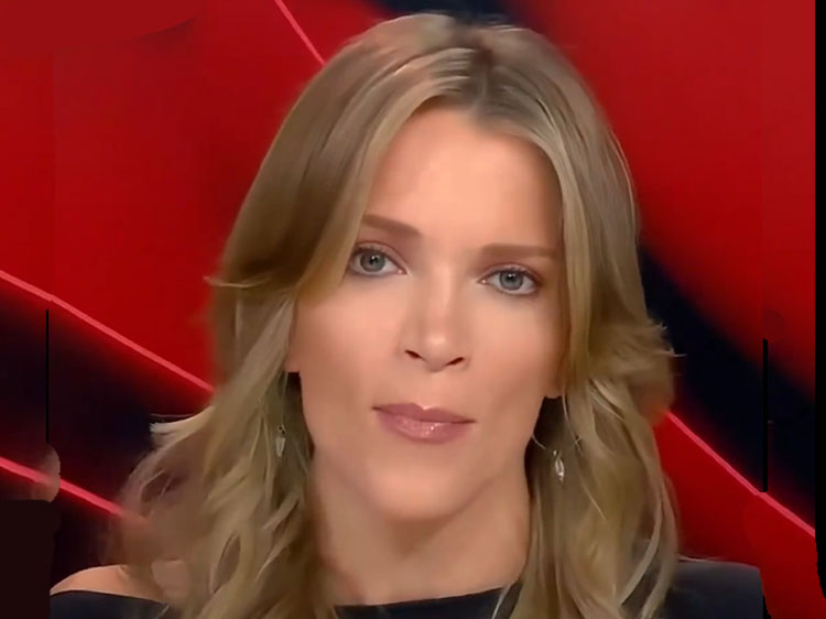 Megyn Kelly: People Celebrating Charlie Kirk's Murder Can't Be Reasoned ...