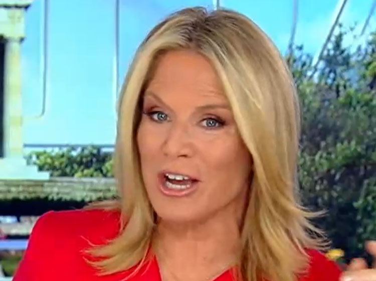 'FOX News Sunday' Panel: Crackdown On "Radical Left-Wing Extremists ...