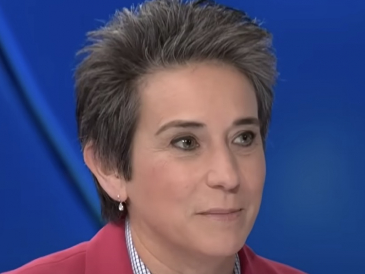 Amy Walter on Shutdown: Why Do Democrats Want To Do This And What Are ...