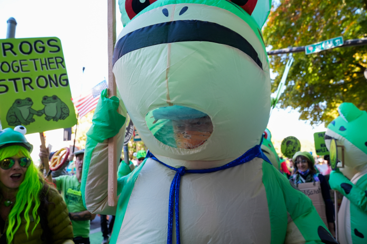 Protest Frogs Are Absurdly Serious | RealClearPolitics