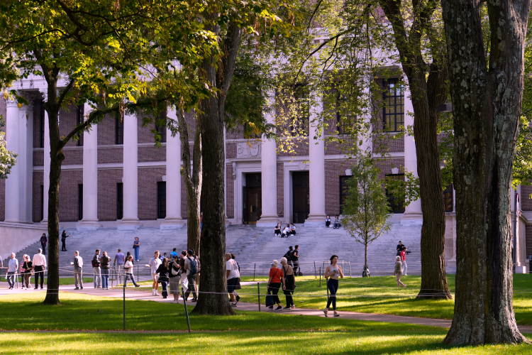 Harvard Says Yes to Discrimination, No to Western Civ | RealClearPolitics