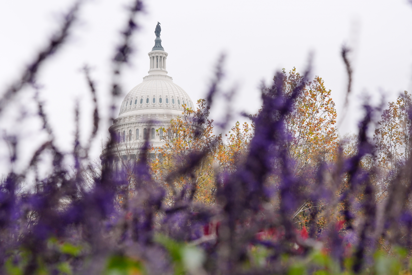 Learning with Gratitude | RealClearEducation