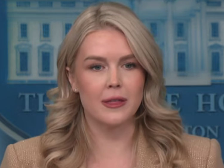 Karoline Leavitt: Trump Called Sen. Warren To Discuss Legislative Fix ...