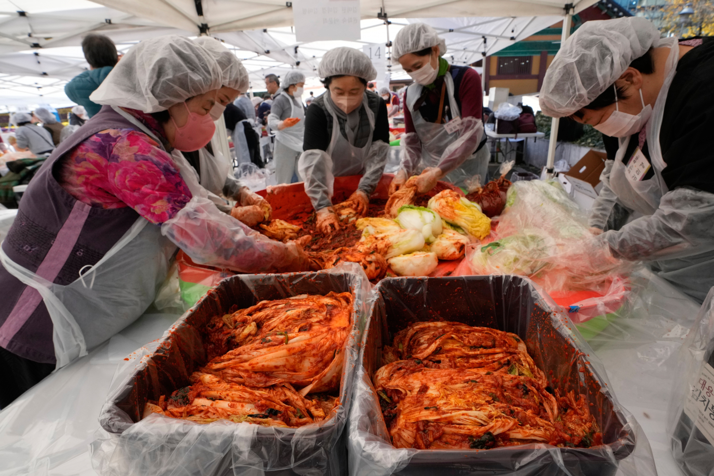 Study Reveals How Kimchi Boosts the Immune System | RealClearScience