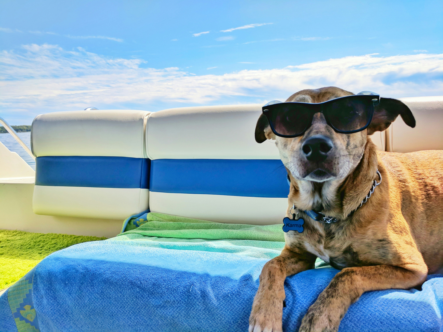 Scientists Define 6 Traits That Make a Person 'Cool' | RealClearScience