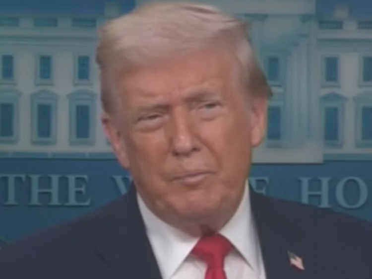 Trump: Somalians Are "Low IQ People," They Don't Have Anything That ...